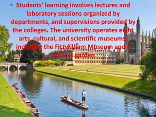 University of my_dream | PPTX