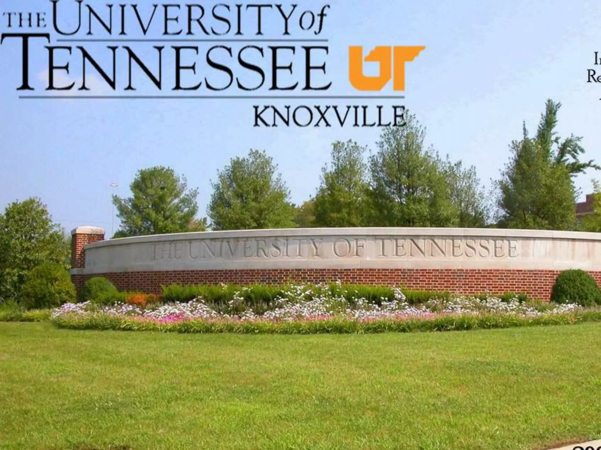 University of tennessee | PPTX