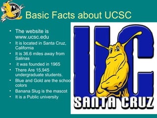 University ppt | PPT | Undergraduate Education | College Education