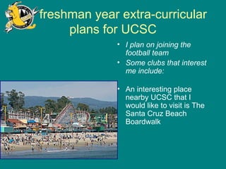 University ppt | PPT | Undergraduate Education | College Education