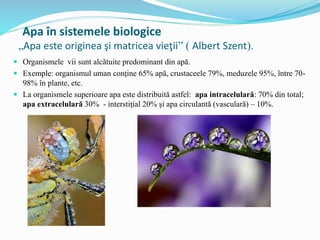 Universul apei | PPTX