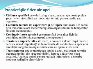 Universul apei | PPTX