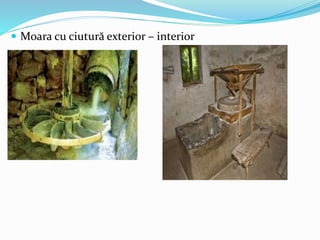 Universul apei | PPTX