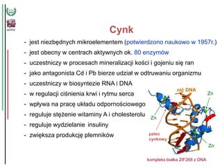 Cynk pierwiastek, o którym wiadomo… | PDF
