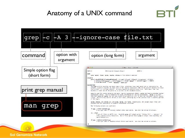 Introduction To Unix Command Lines With Examples