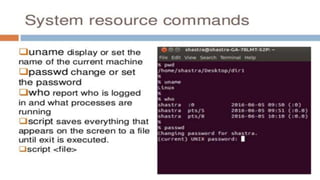 Unix operating system commands | PPT