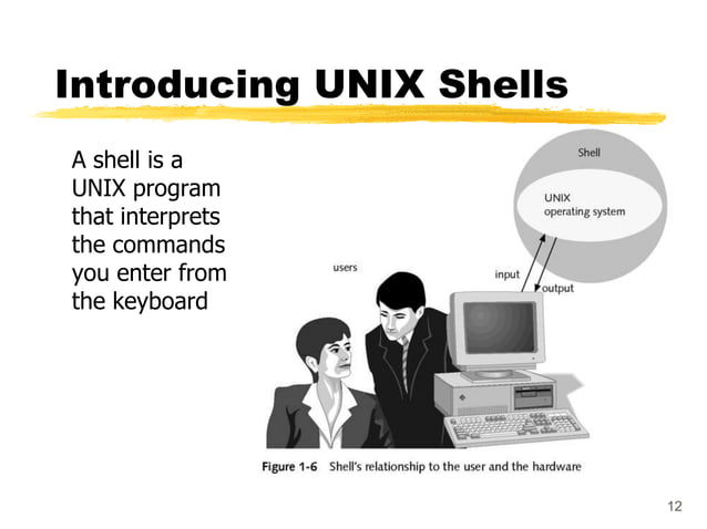 Unix OS & Commands | PPTX
