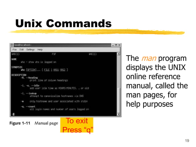 Unix OS & Commands | PPTX
