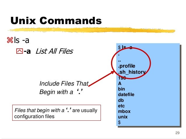 Unix OS & Commands
