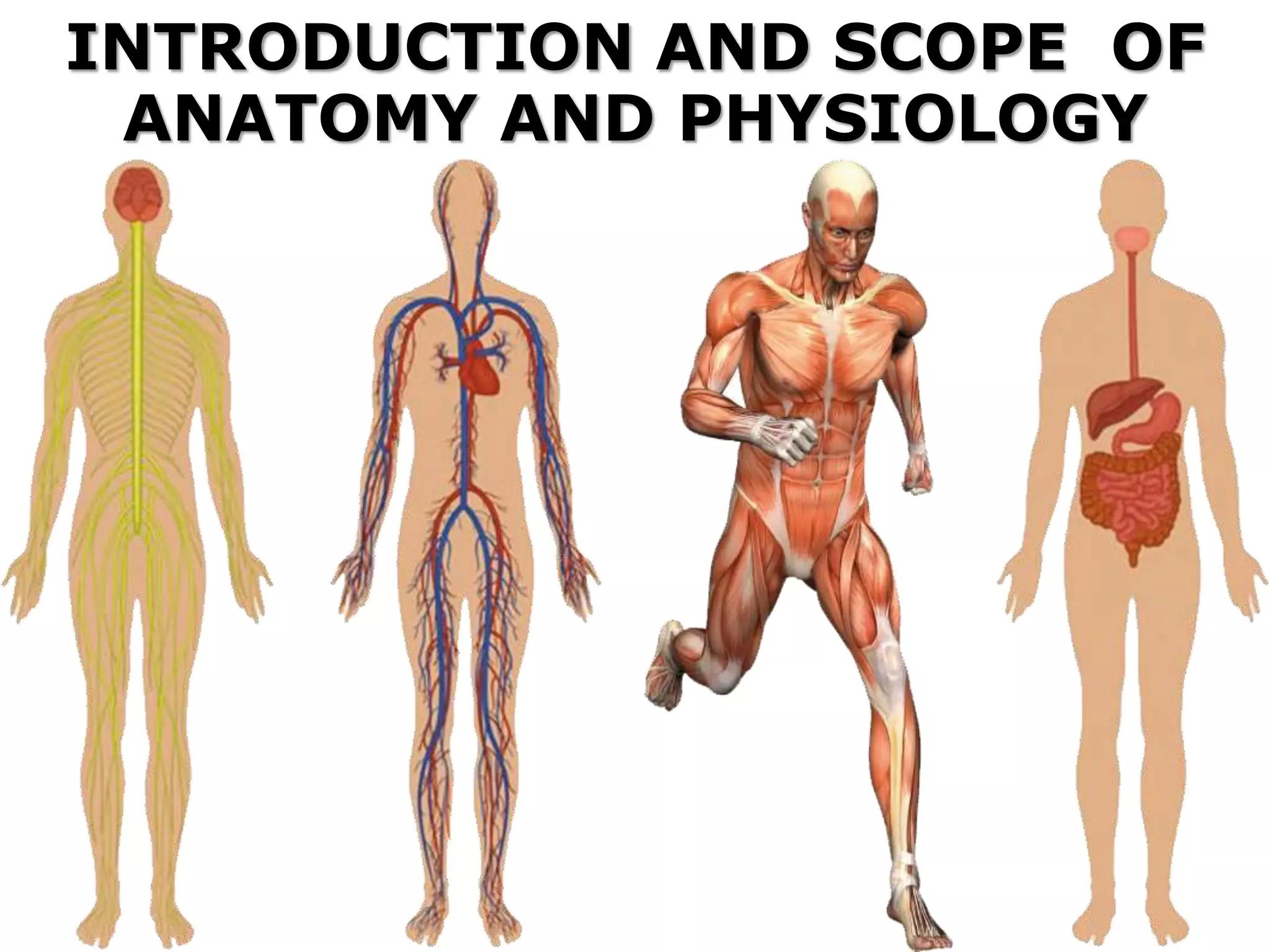 INTRODUCTION AND SCOPE OF ANATOMY AND PHYSIOLOGY | PPTX