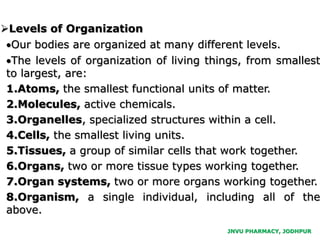 INTRODUCTION AND SCOPE OF ANATOMY AND PHYSIOLOGY | PPTX