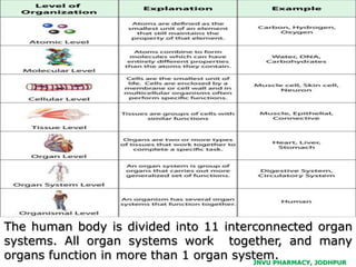 INTRODUCTION AND SCOPE OF ANATOMY AND PHYSIOLOGY | PPTX
