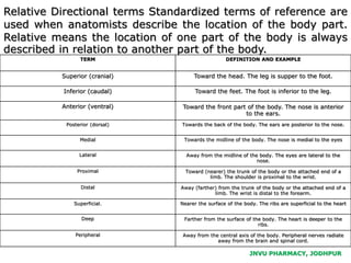 INTRODUCTION AND SCOPE OF ANATOMY AND PHYSIOLOGY | PPTX