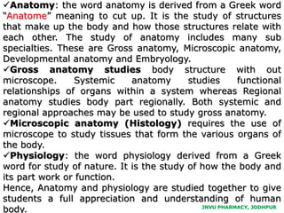 INTRODUCTION AND SCOPE OF ANATOMY AND PHYSIOLOGY | PPTX