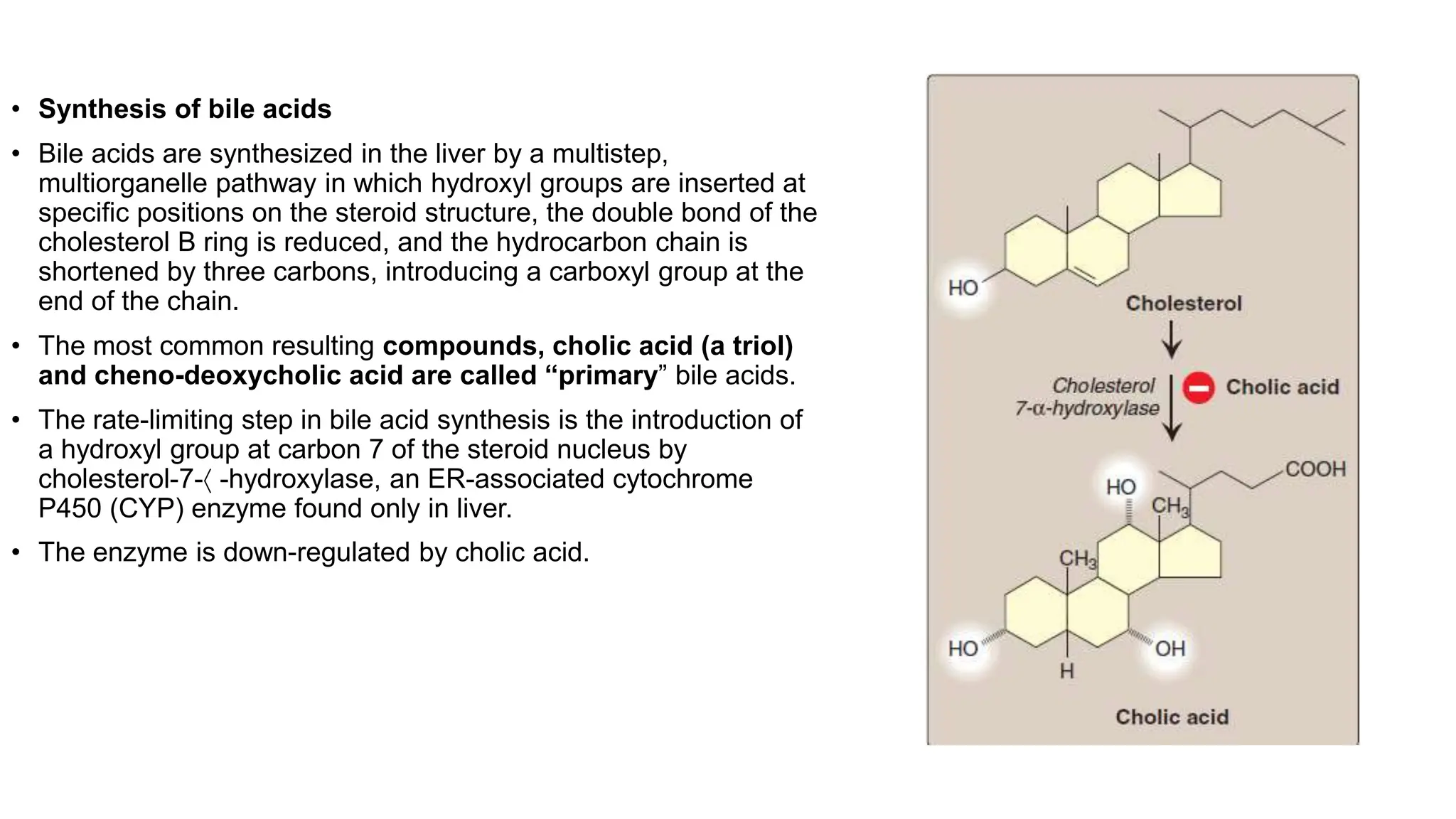 Cholesterol, its structure, synthesis of | PPTX