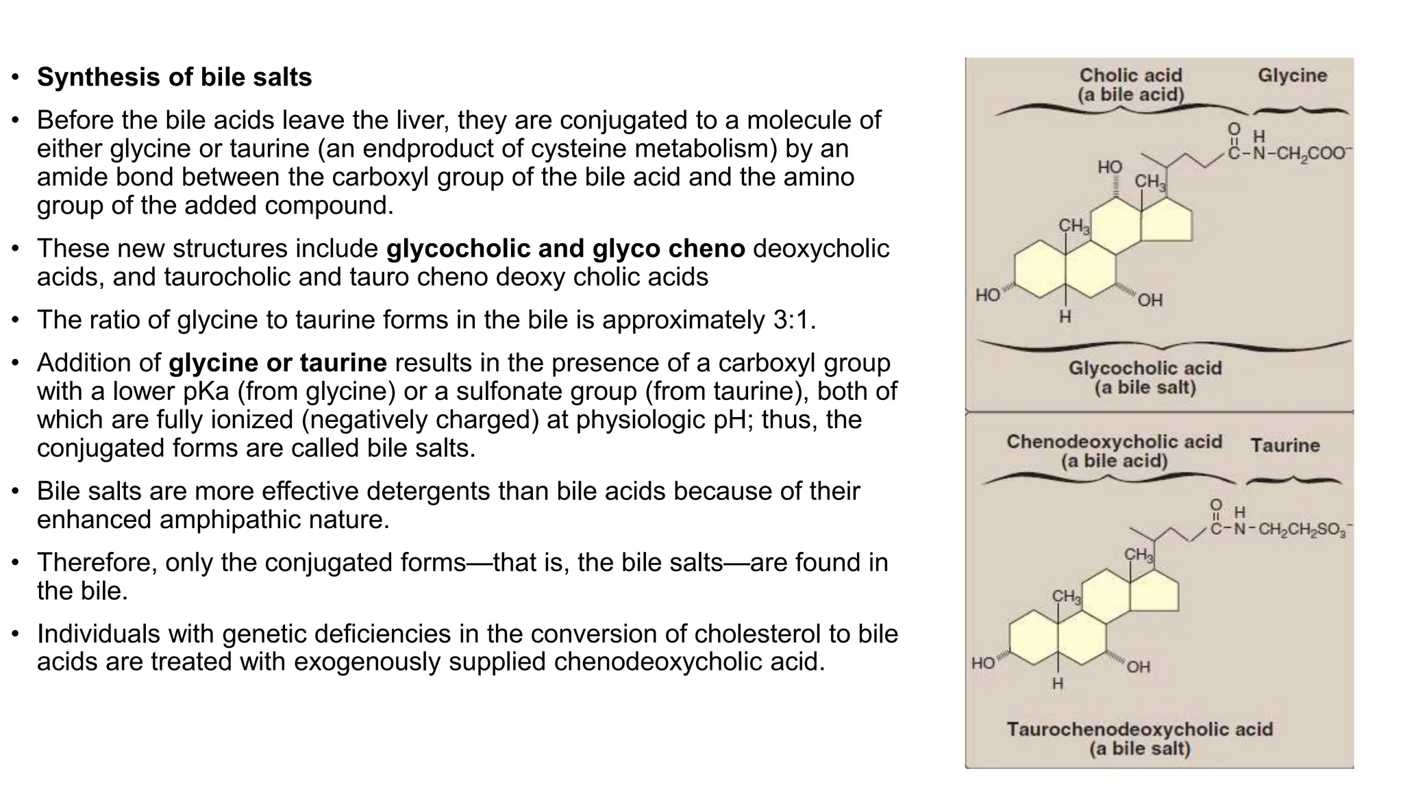 Cholesterol, its structure, synthesis of | PPTX
