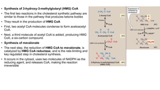 Cholesterol, its structure, synthesis of | PPTX