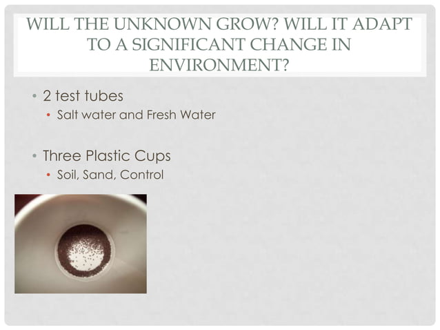 Unknown specimen powerpoint | PPT