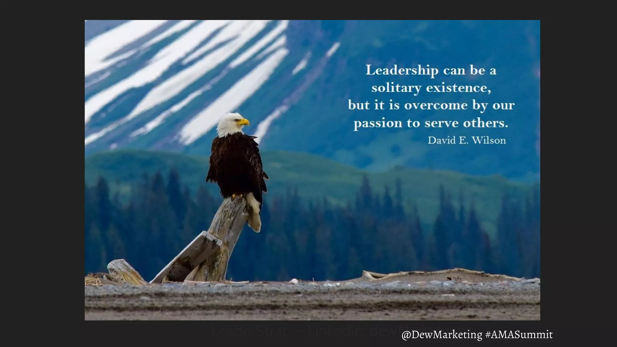 Unleashed leadership | PDF