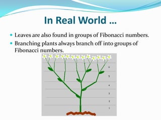 Mystery of Fibonacci numbers | PPT