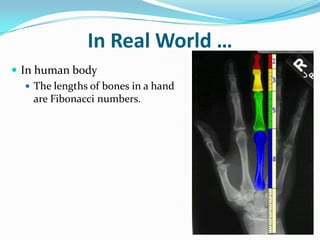 Mystery of Fibonacci numbers | PPTX