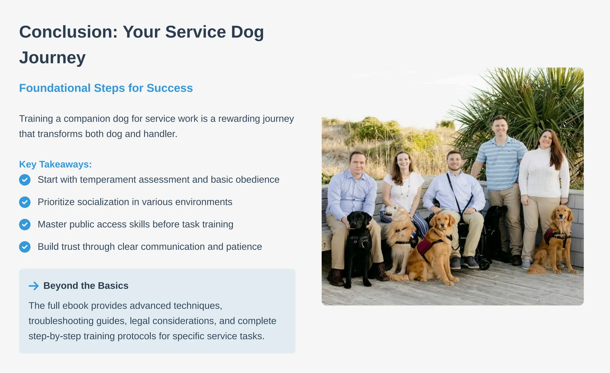 Unleash Their Potential Your Companion Dog's Journey to Service. | PDF