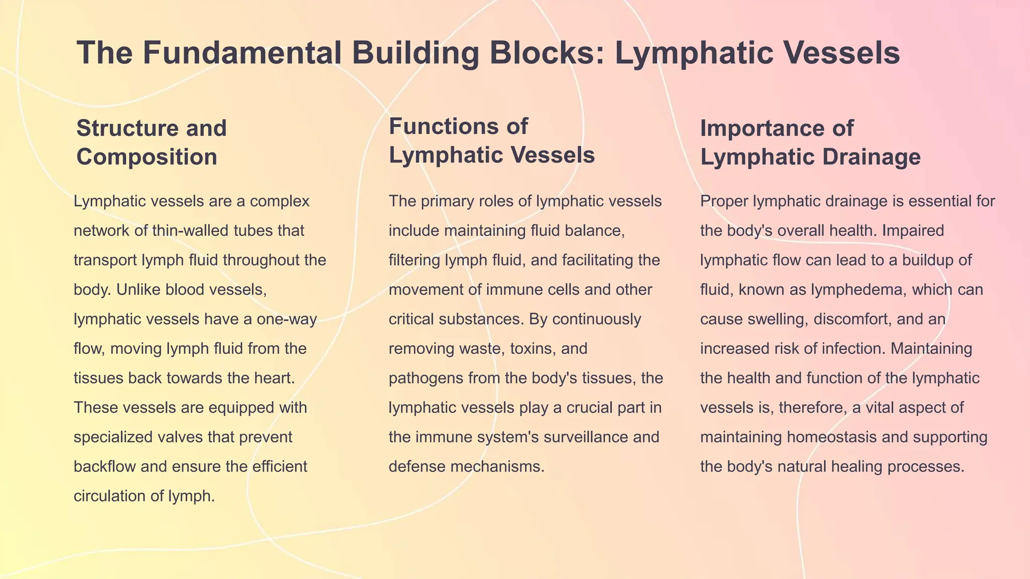 Unlocking the Mysteries of the Lymphatic System | PPTX | Biological Sciences | Science