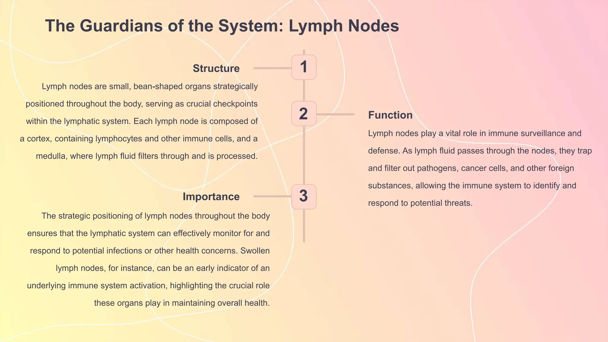 Unlocking the Mysteries of the Lymphatic System | PPTX