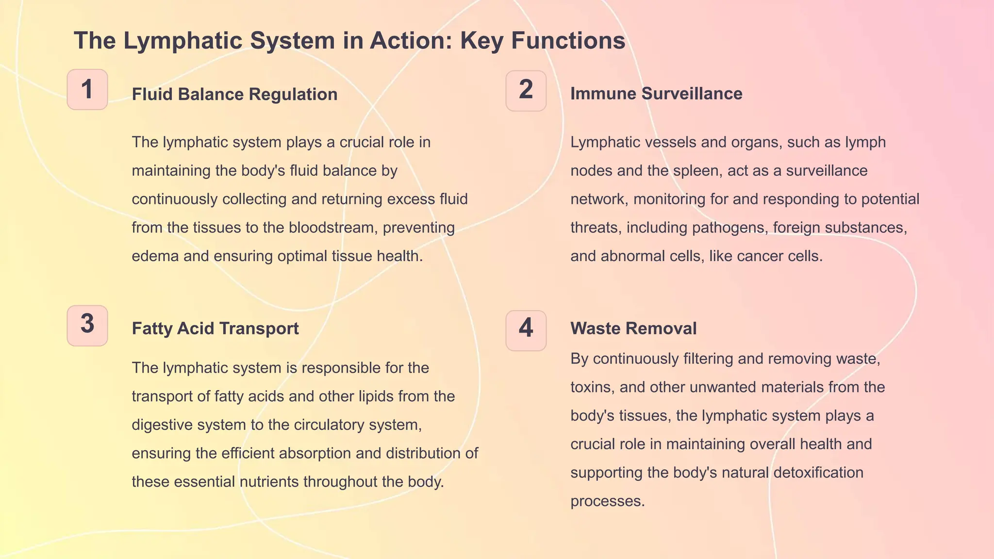 Unlocking the Mysteries of the Lymphatic System | PPTX