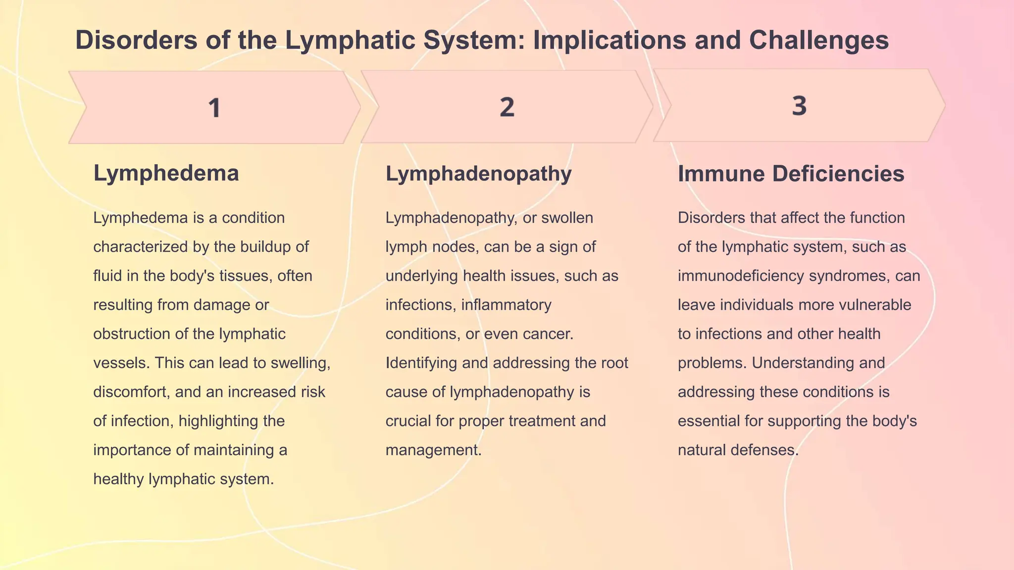 Unlocking the Mysteries of the Lymphatic System | PPTX | Biological Sciences | Science