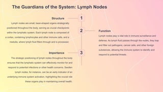Unlocking the Mysteries of the Lymphatic System | PPTX | Biological Sciences | Science