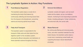 Unlocking the Mysteries of the Lymphatic System | PPTX | Biological Sciences | Science