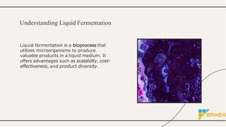 unlocking-the-potential-exploring-liquid-fermentation-for-enhanced ...