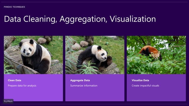 Unlocking Insights Data Analysis Visualization | PPT