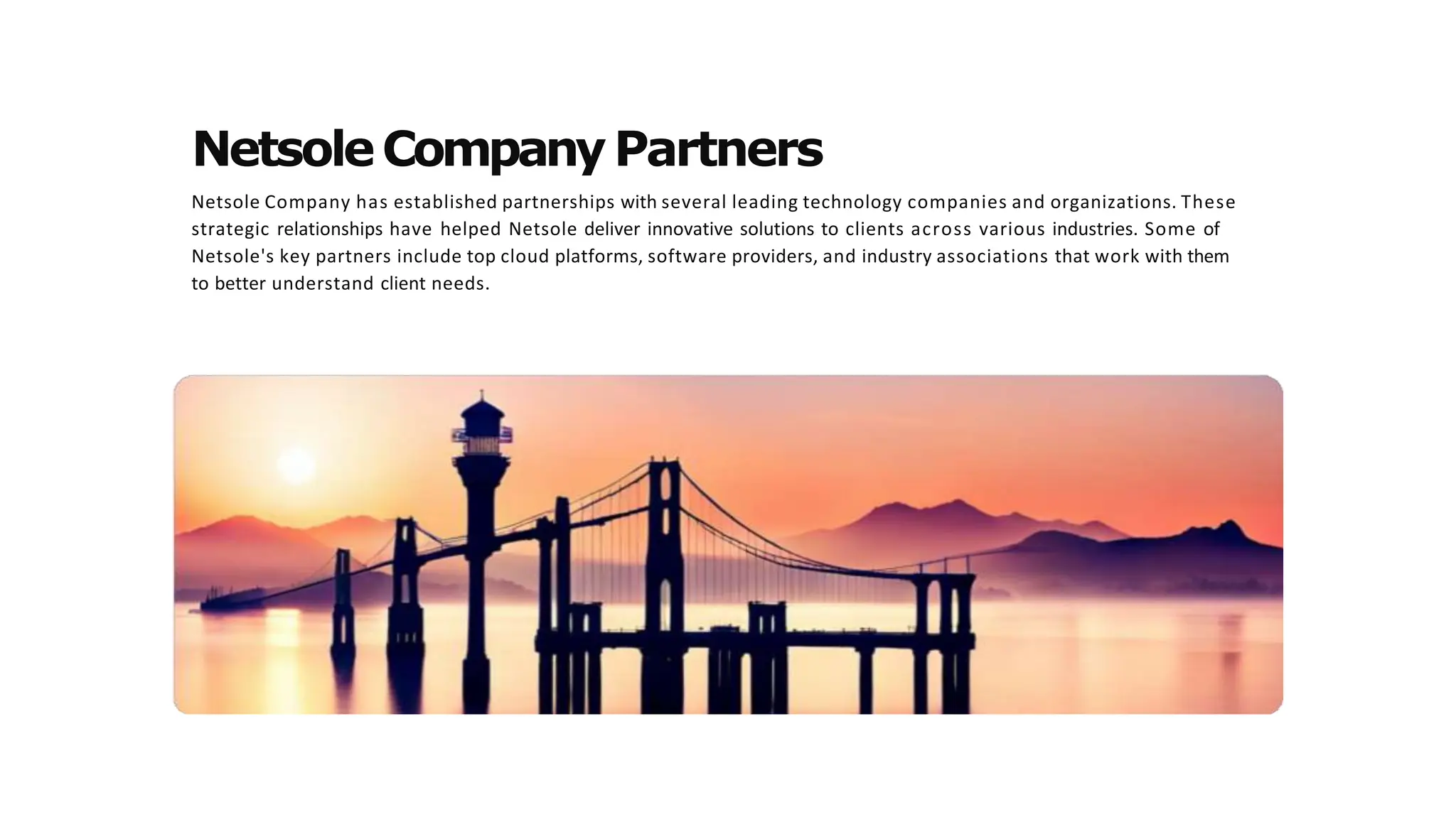 Unlocking the Potential of Netsole_ A Strategic Roadmap.pptx | Free ...