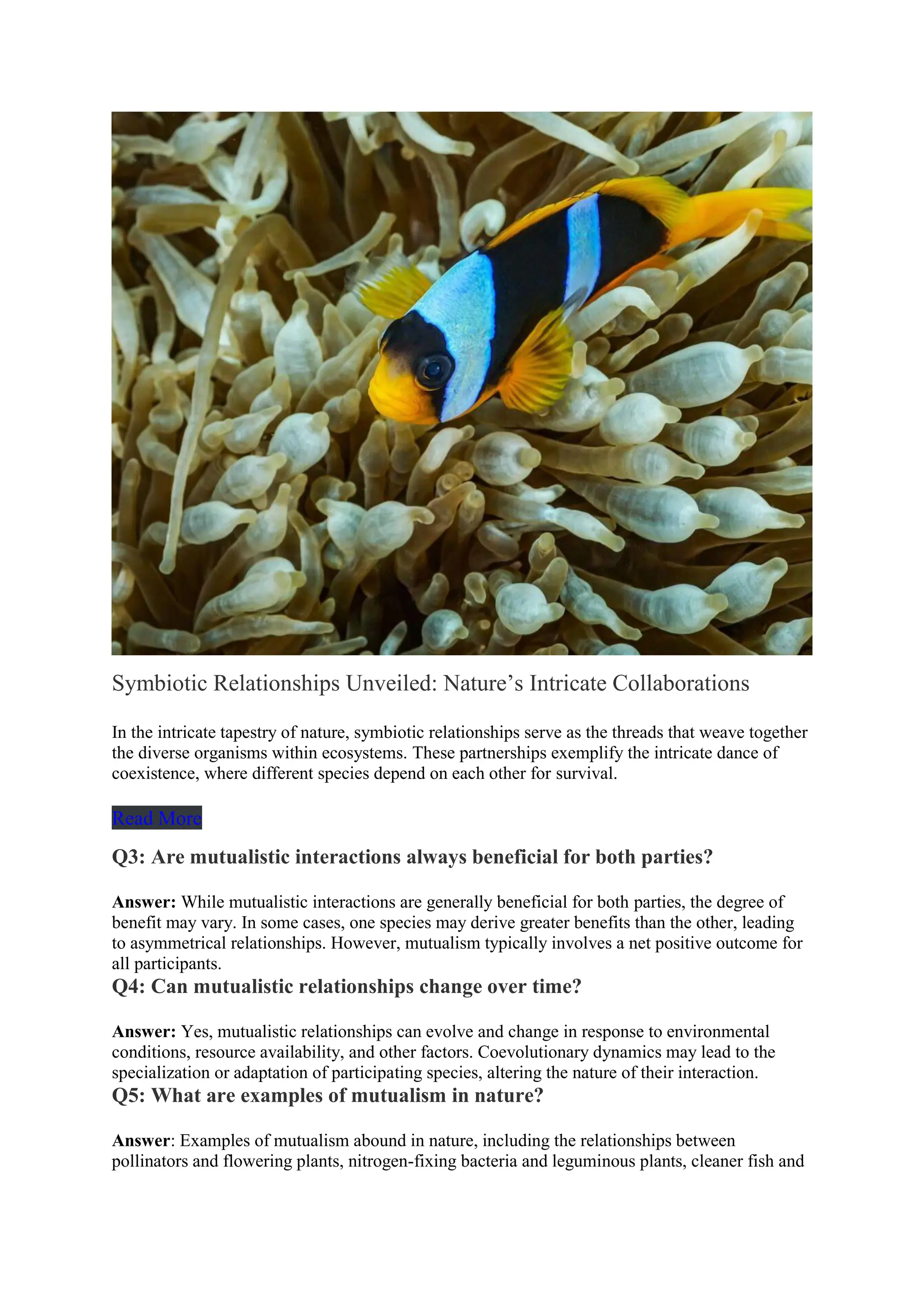 Mutualism: Meaning, Characteristics and Mechanisms | The Lifesciences ...