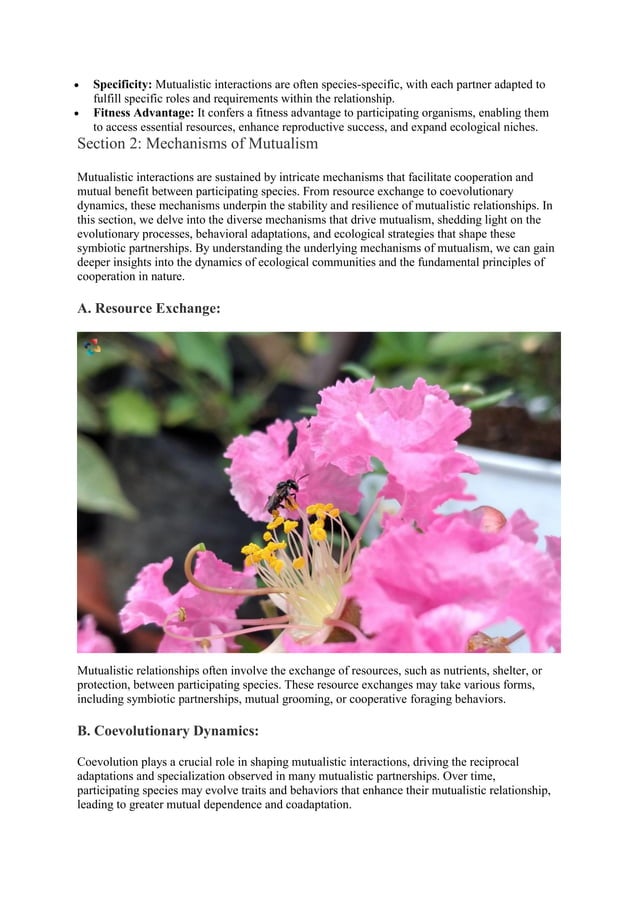 Mutualism: Meaning, Characteristics and Mechanisms | The Lifesciences ...