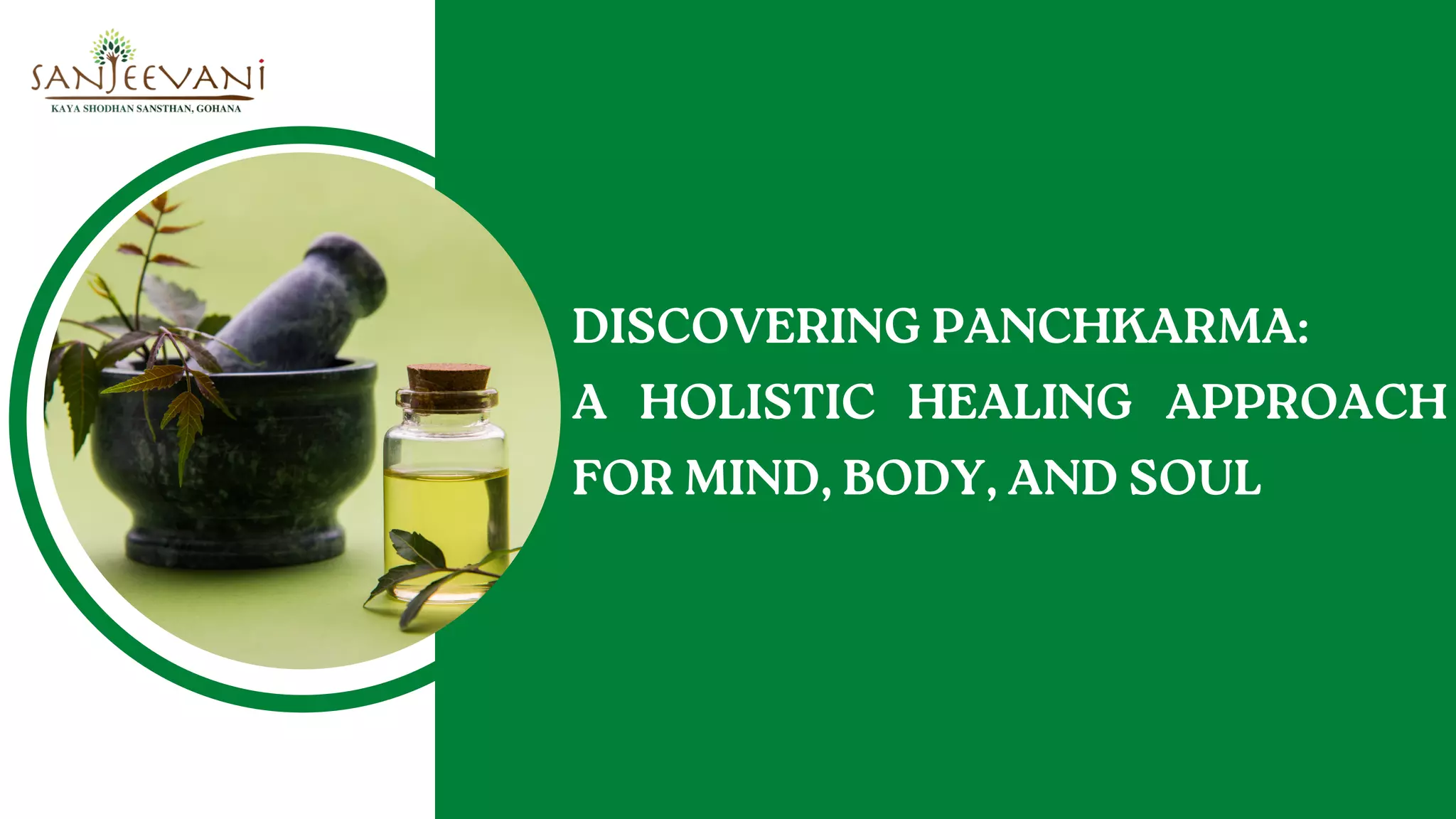 Unlocking Wellness Exploring the Power of Panchkarma.pdf
