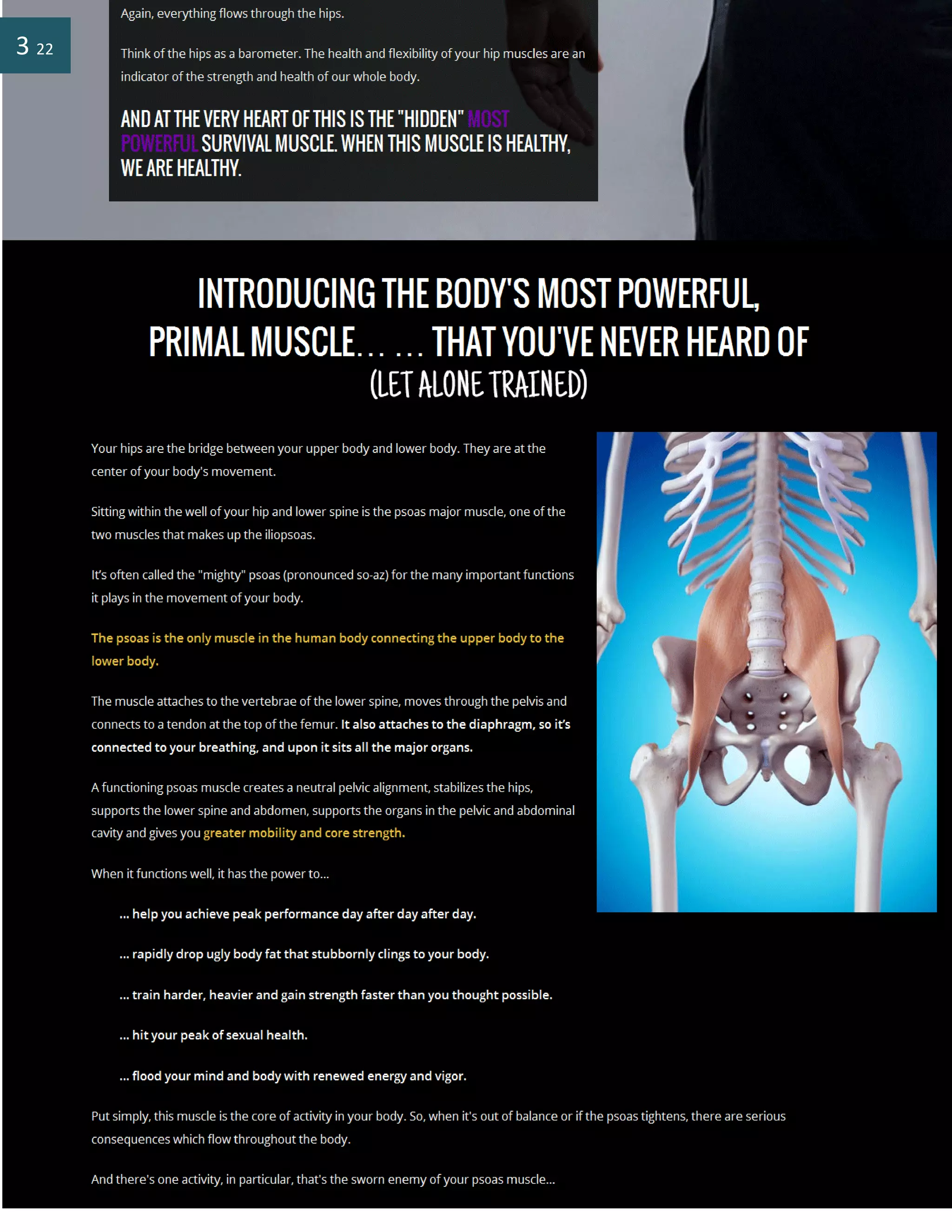 Unlock Your Hip Flexors | PDF