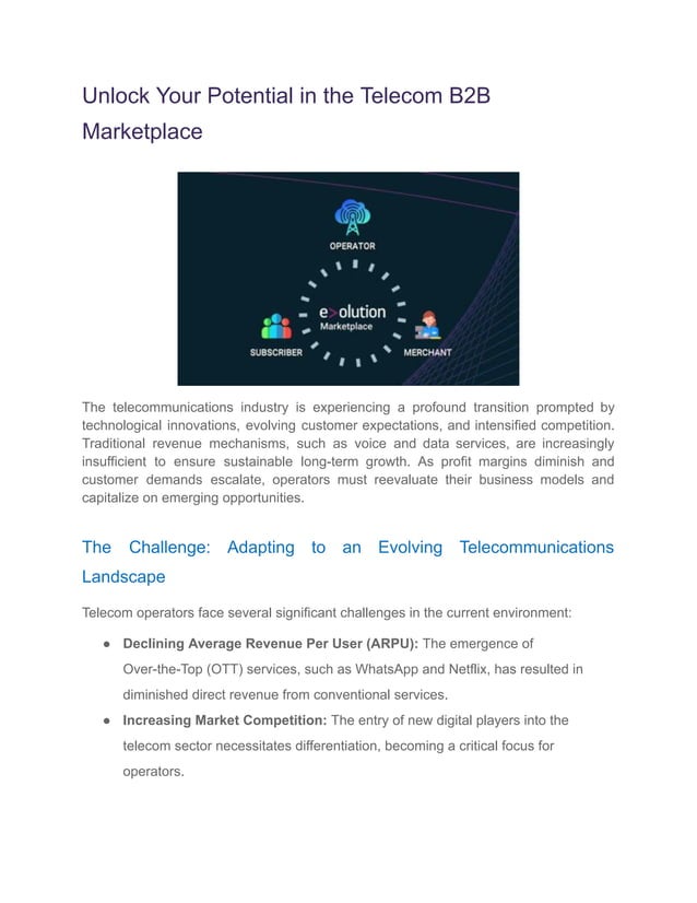 Unlock Your Potential in the Telecom B2B Marketplace.pdf