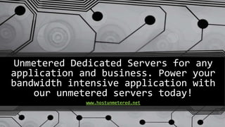Unmetered Dedicated Servers | PPT