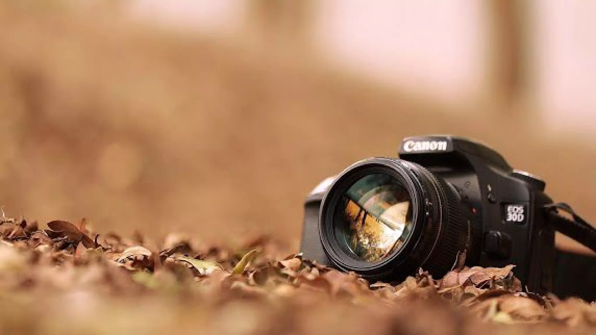 10 tips to keep you shooting and improving as a photographer | PDF