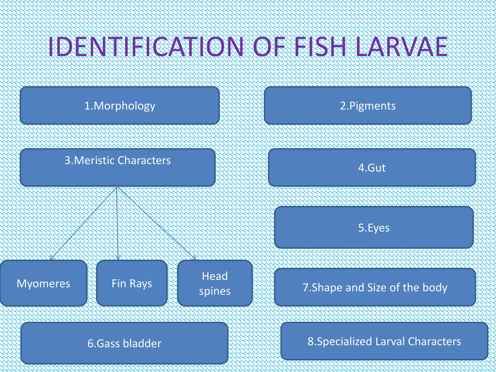 Eggs and larvae identification biology in fin fish | PPTX