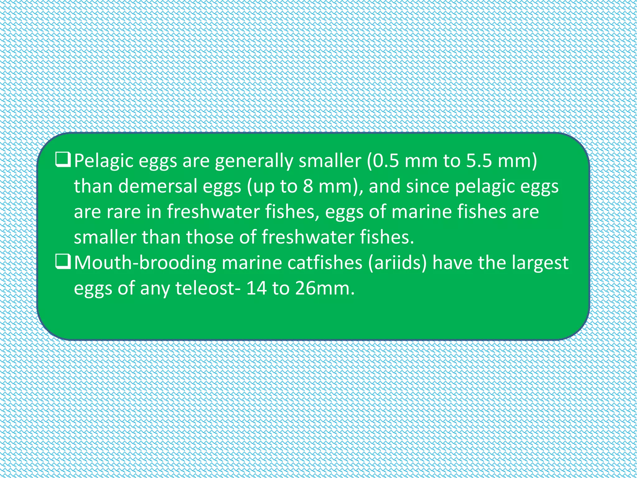 Eggs and larvae identification biology in fin fish | PPTX