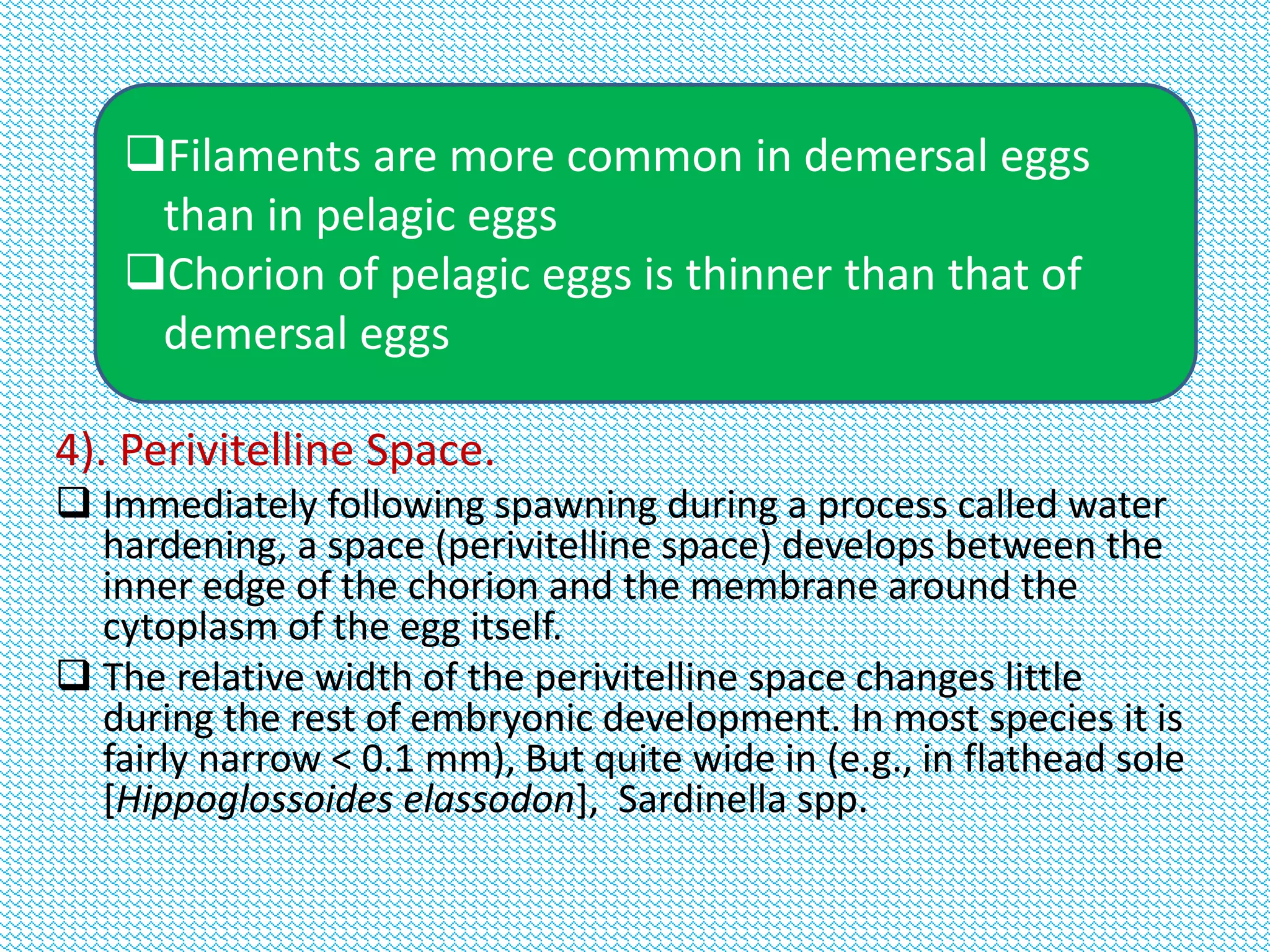 Eggs and larvae identification biology in fin fish | PPTX