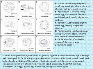 Eggs and larvae identification biology in fin fish | PPTX