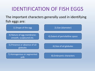 Eggs and larvae identification biology in fin fish | PPTX