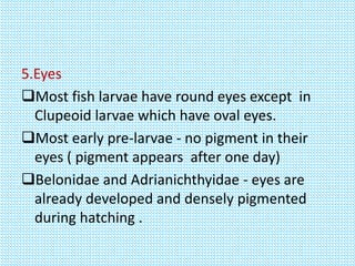 Eggs and larvae identification biology in fin fish | PPTX
