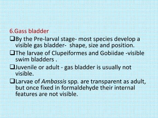 Eggs and larvae identification biology in fin fish | PPTX