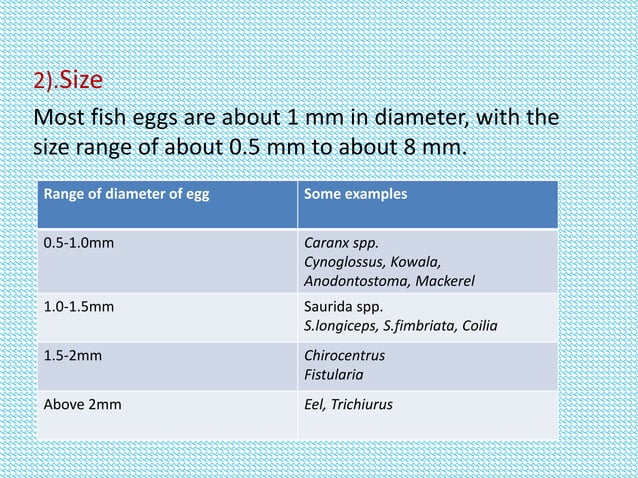 Eggs and larvae identification biology in fin fish | PPTX | Fish and ...